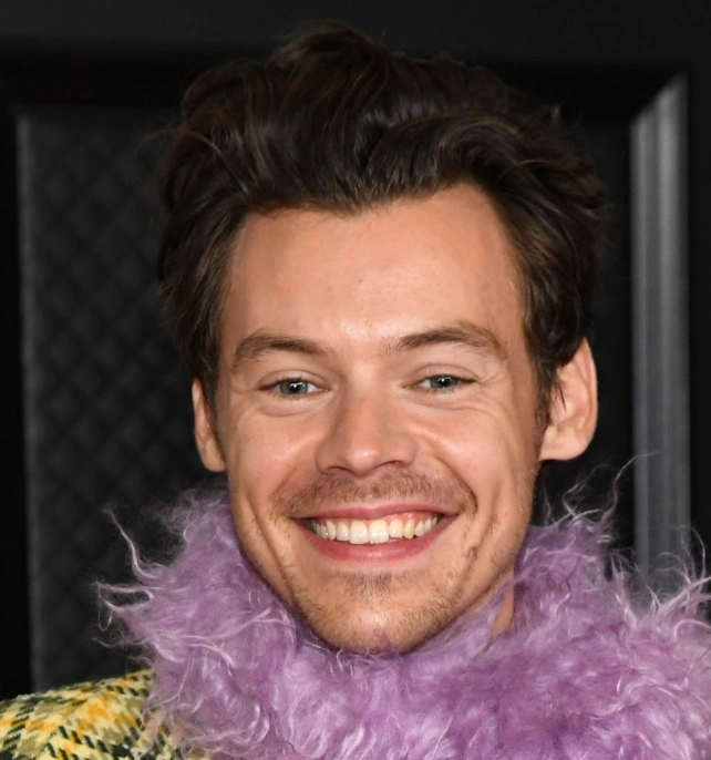 Harry Styles Teeth: A Comprehensive Review of His Dental Transformation ...